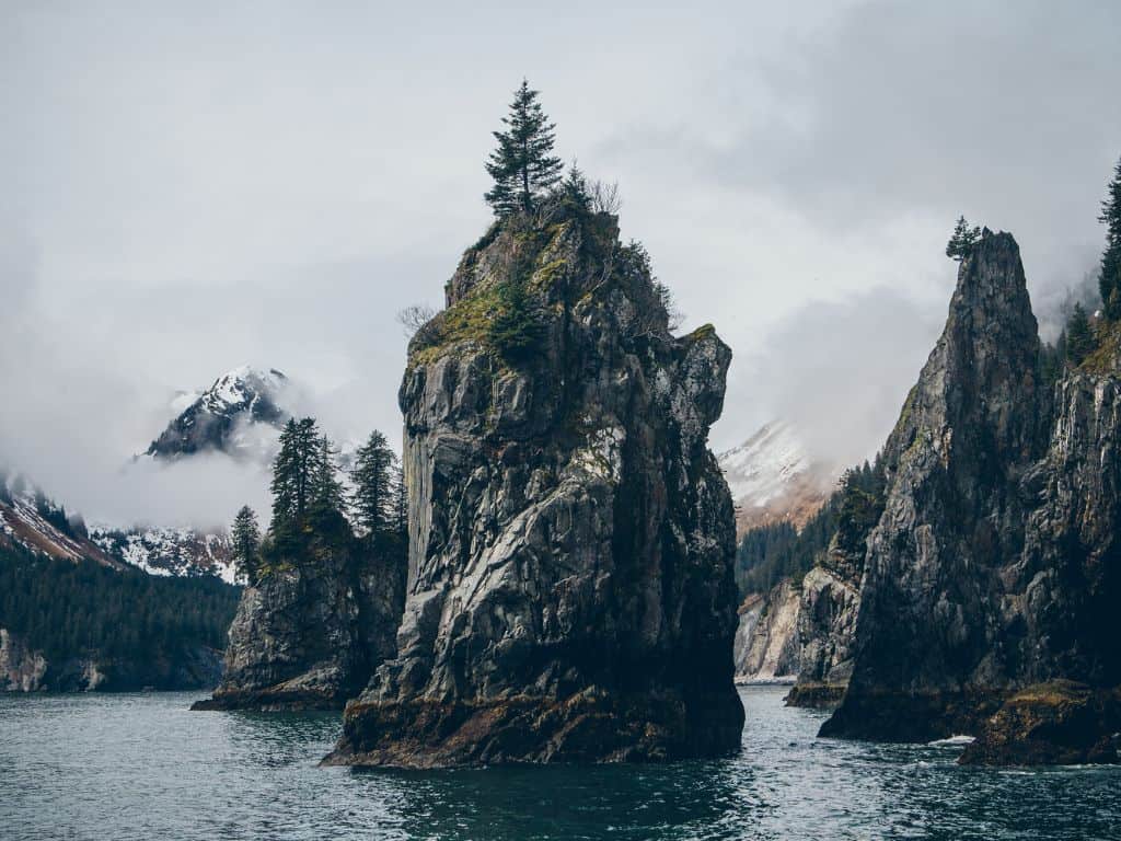 10 Best Things To Do in Ketchikan Alaska from the Cruise Ship Port (2023)